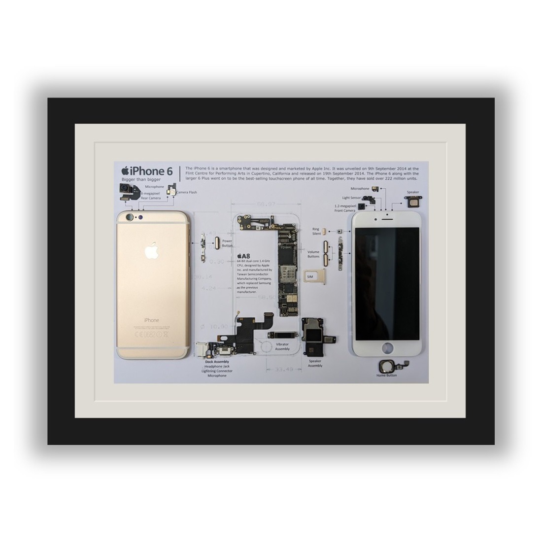 iPhone 6 Deconstructed Wall Art: Digital Evolution - TAZAR (UK)